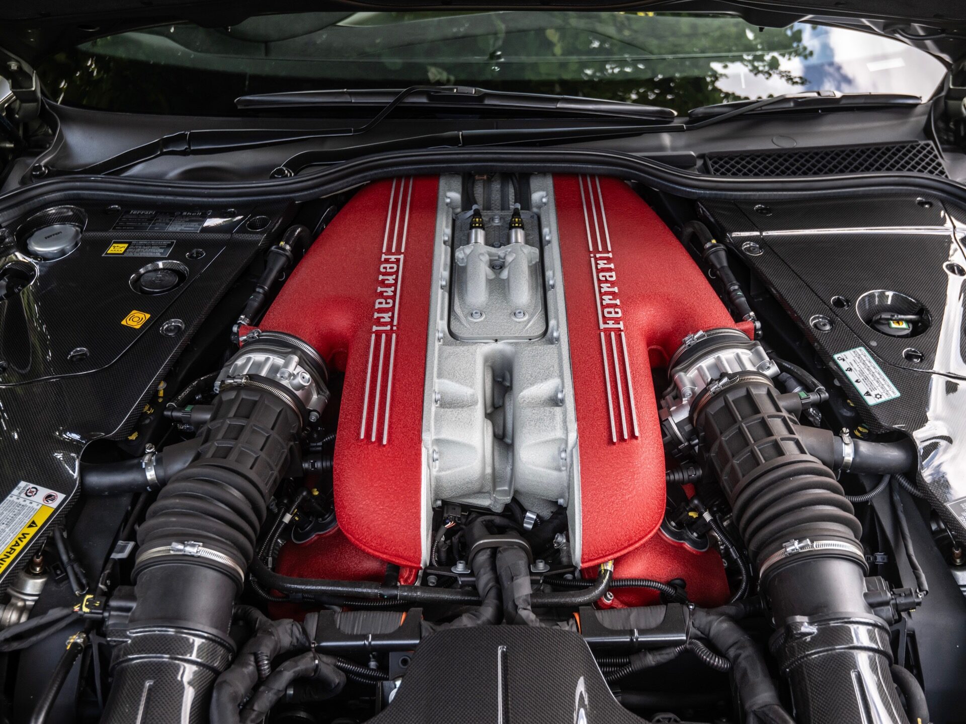 Used Ferrari F12 TDF 'Il Mostro' for sale | Verde Masoni Matte